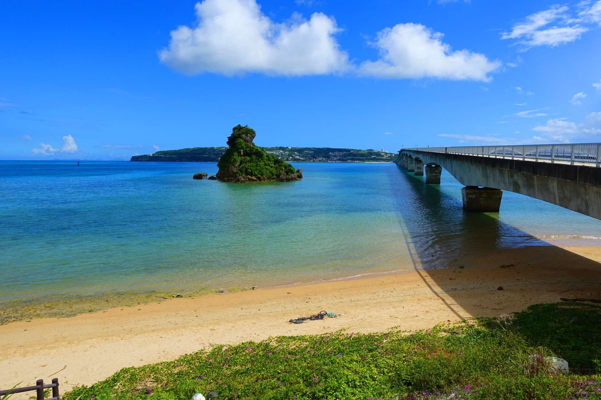 沖縄 やんばるのおすすめドライブスポット 〜西海岸編〜｜西自動車商会 | 沖縄の新車購入・カーリースなら「乗るだけセット」